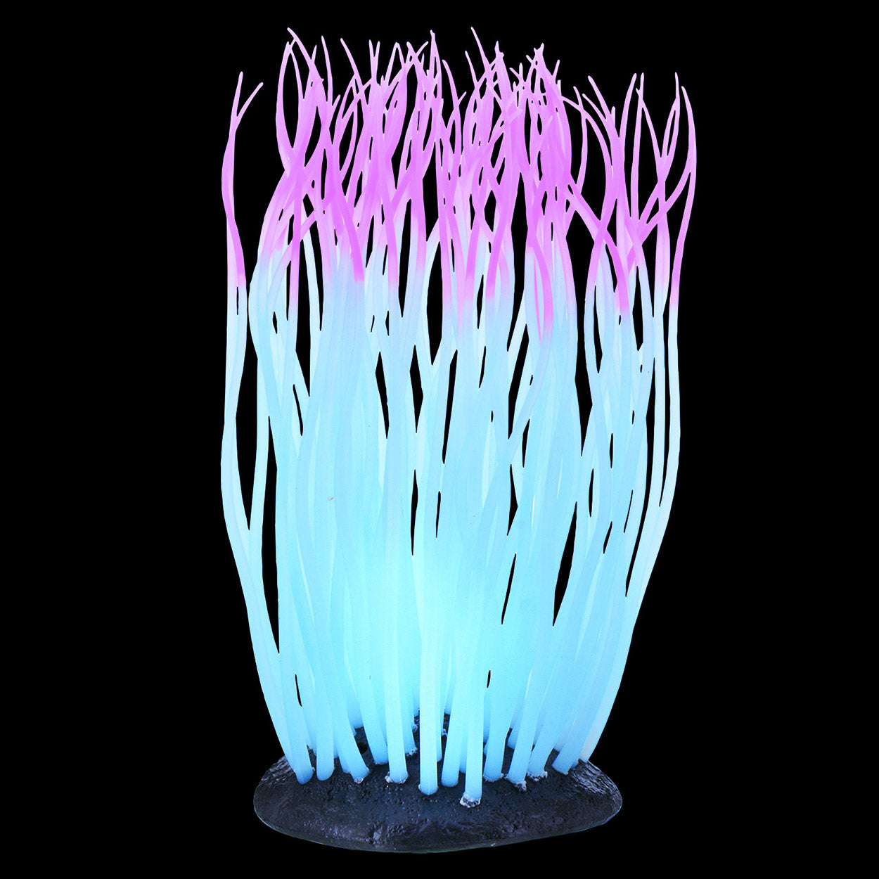 Underwater Treasures Glowing Anemone Pink Large – KensFish.com