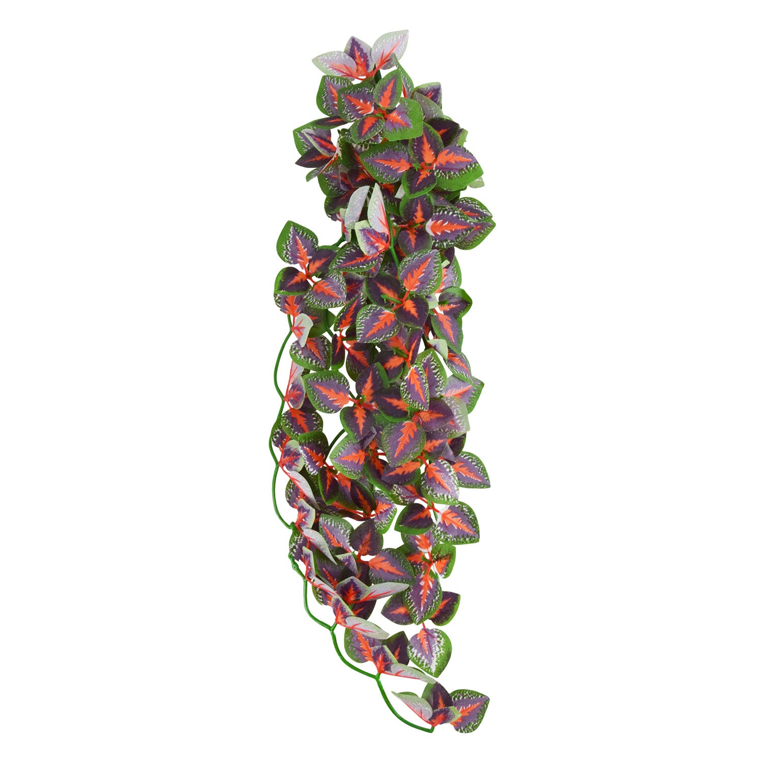 Reptile Treasures Red Angel Plant 24 inch – KensFish.com