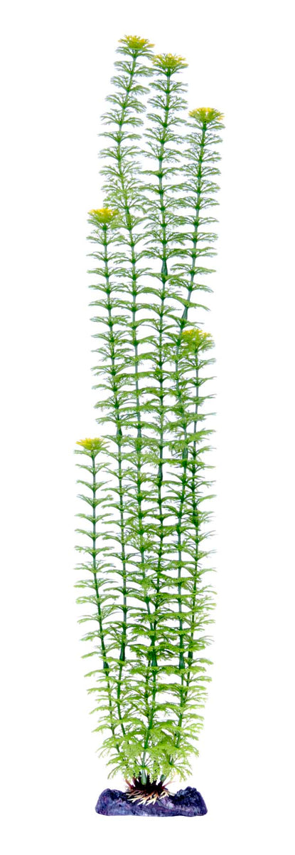 Penn Plax Plants – KensFish.com