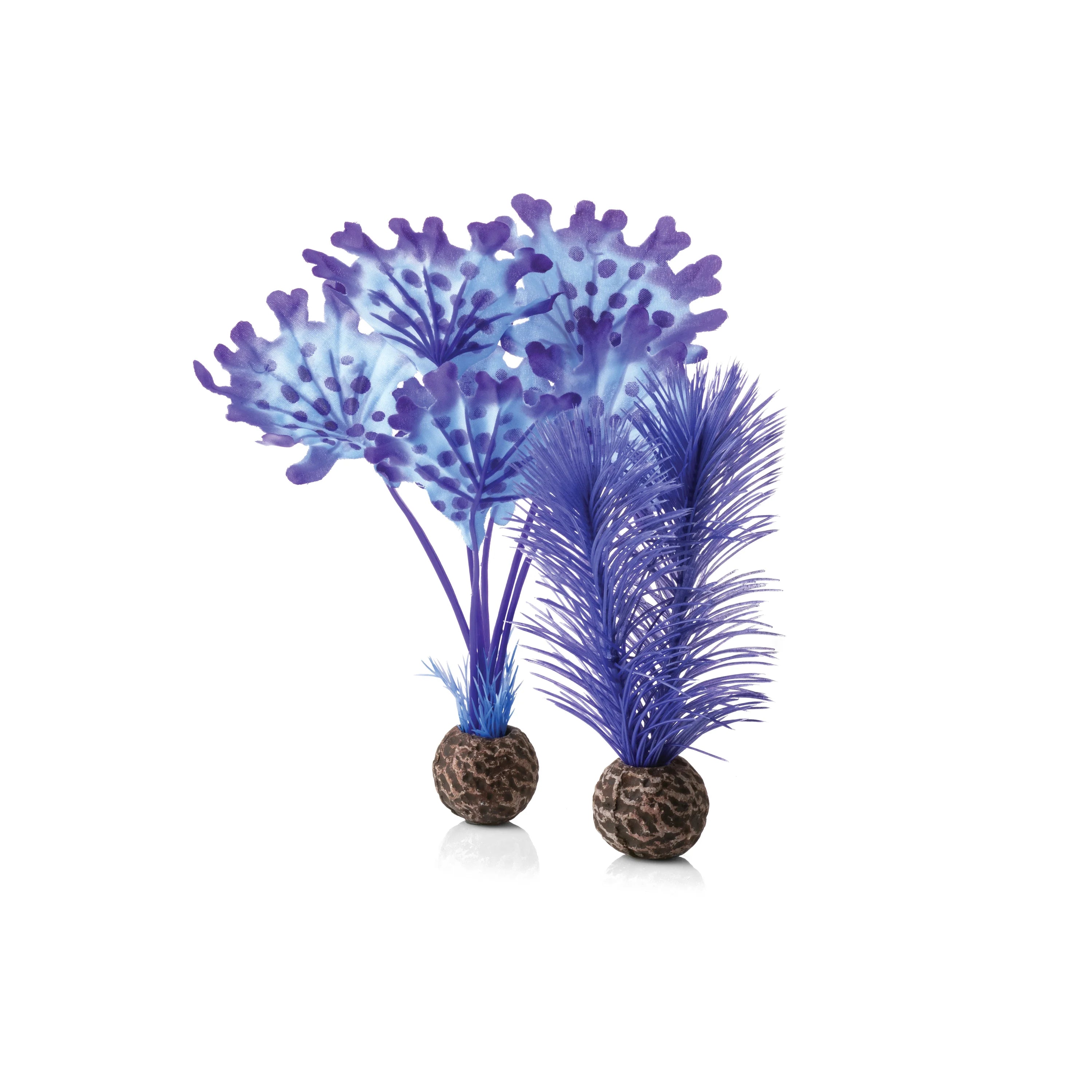 Oase BioOrb Small Kelp Plant Set Purple – KensFish.com