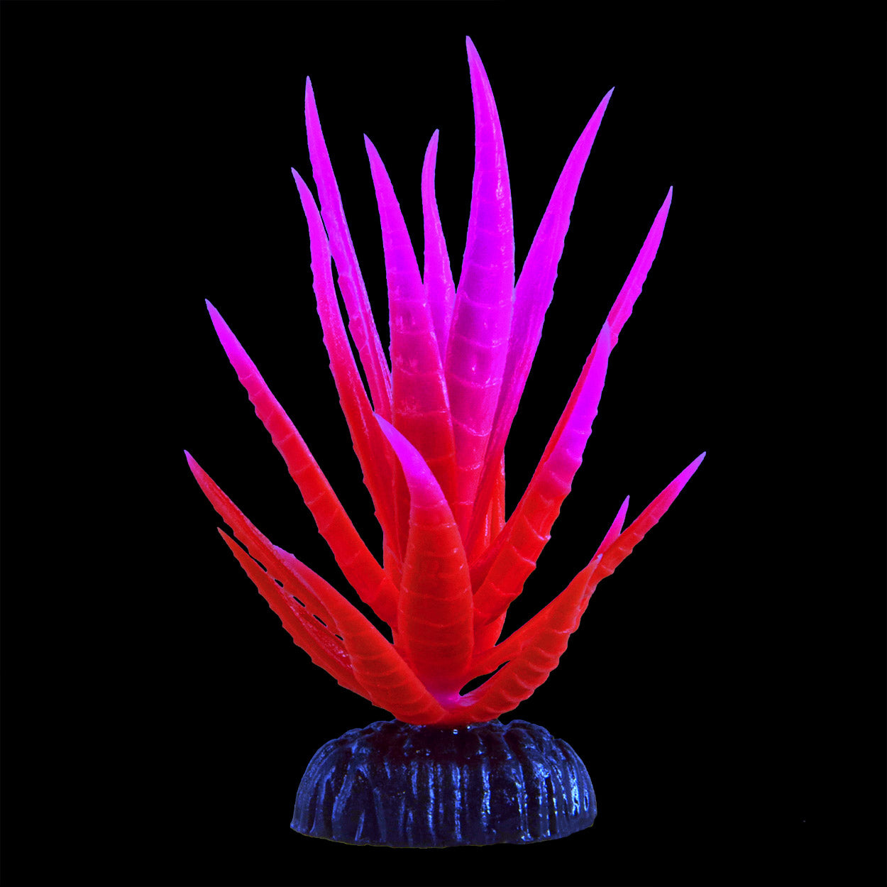 Underwater Treasures Glow Yucca Pink Plant Small – KensFish.com