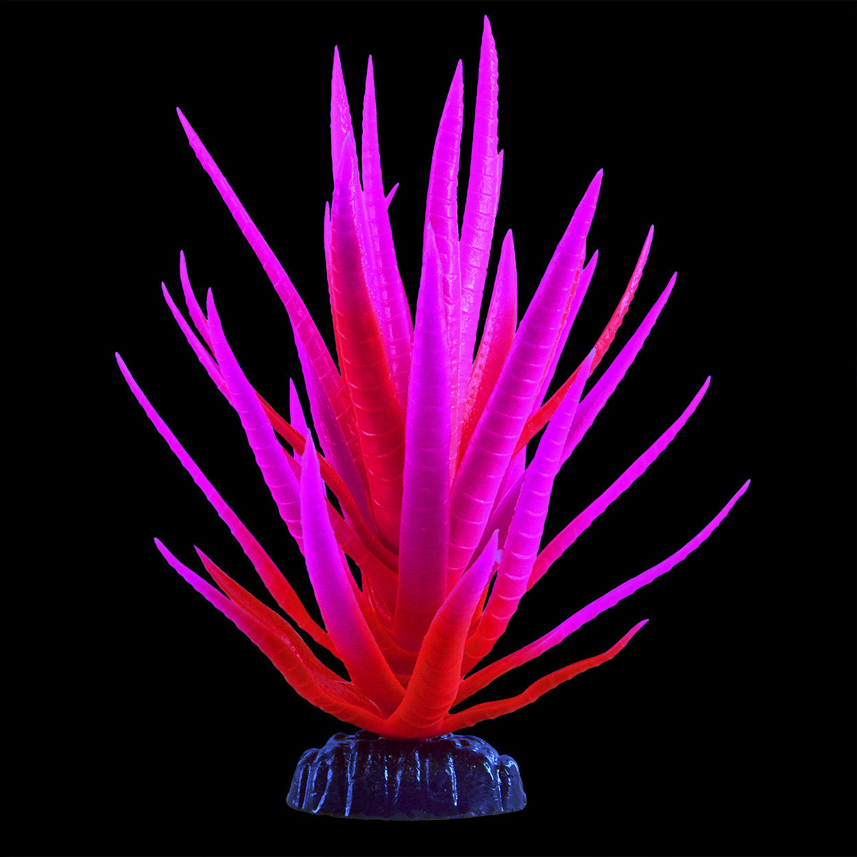 Underwater Treasures Glow Yucca Pink Plant Medium – KensFish.com
