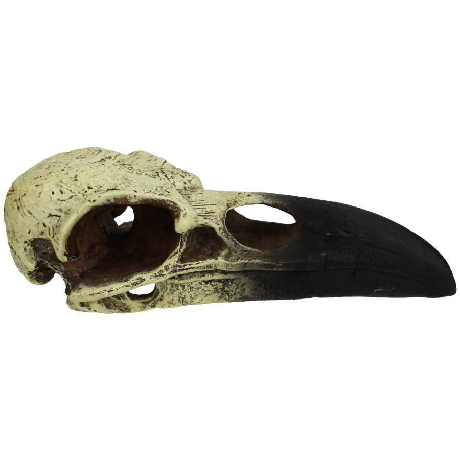 Komodo Raven Skull Hideout – KensFish.com