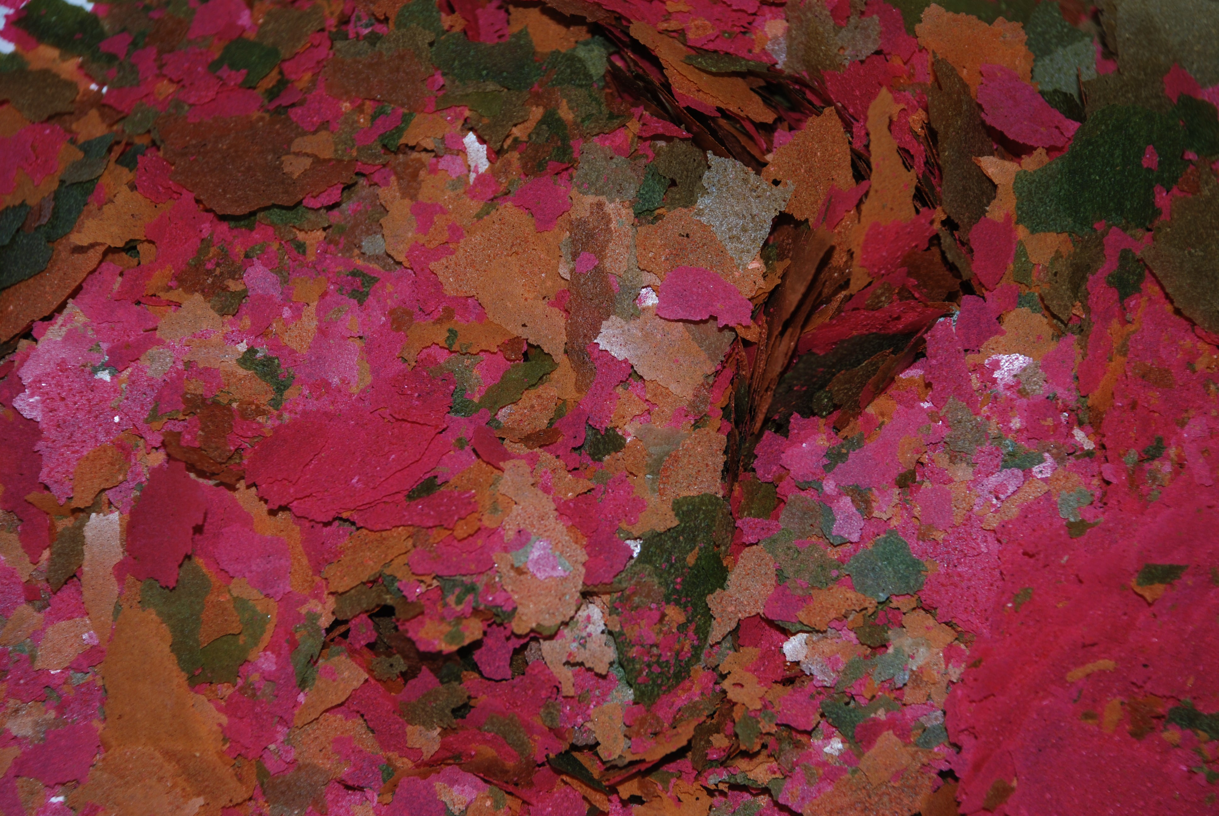 Ken's Ultra Guppy Flake – KensFish.com