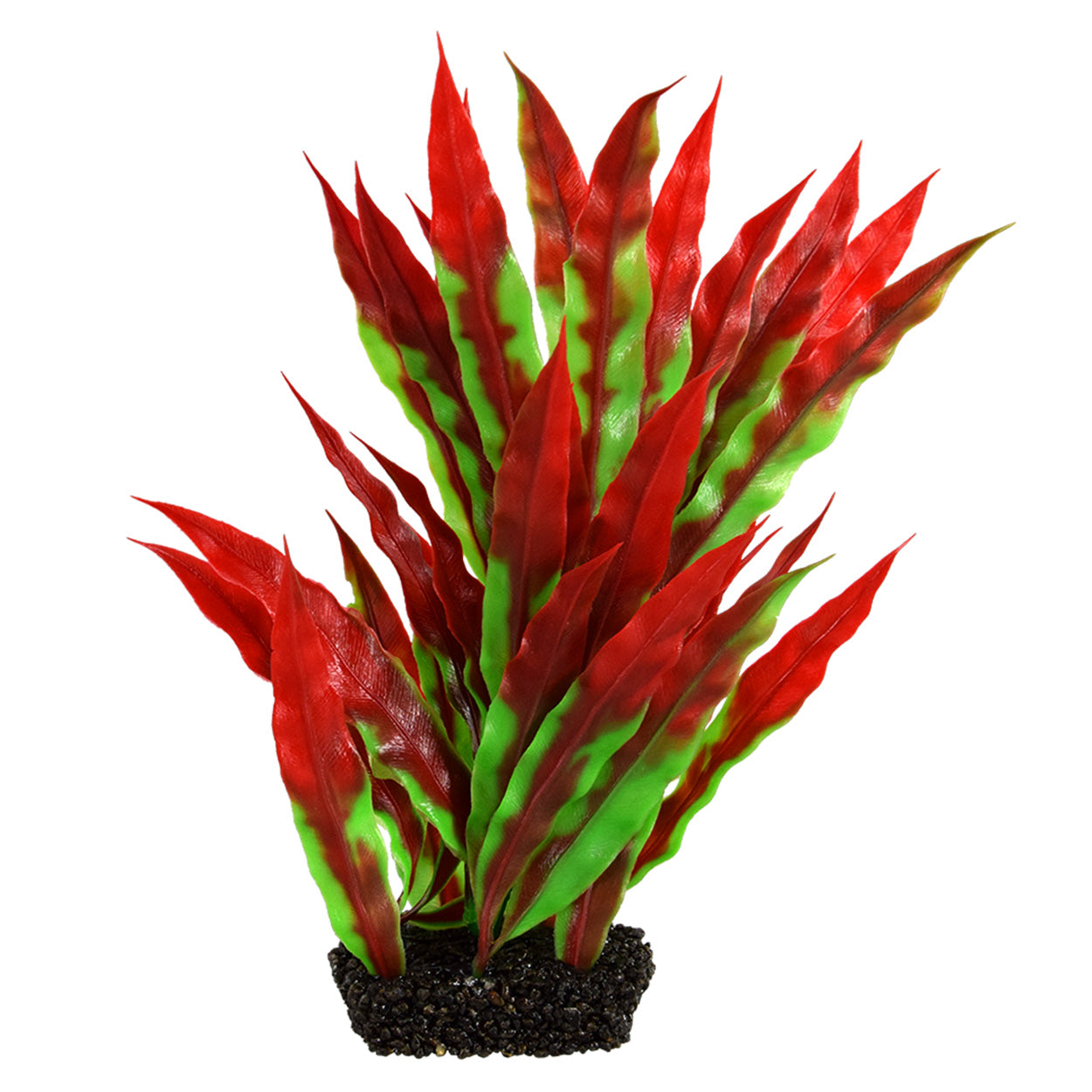Underwater Treasures Vasiliki Crypt Red Green Plant 8 inch – KensFish.com