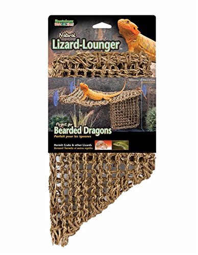 Penn Plax Corner Lizard Lounger Large – KensFish.com