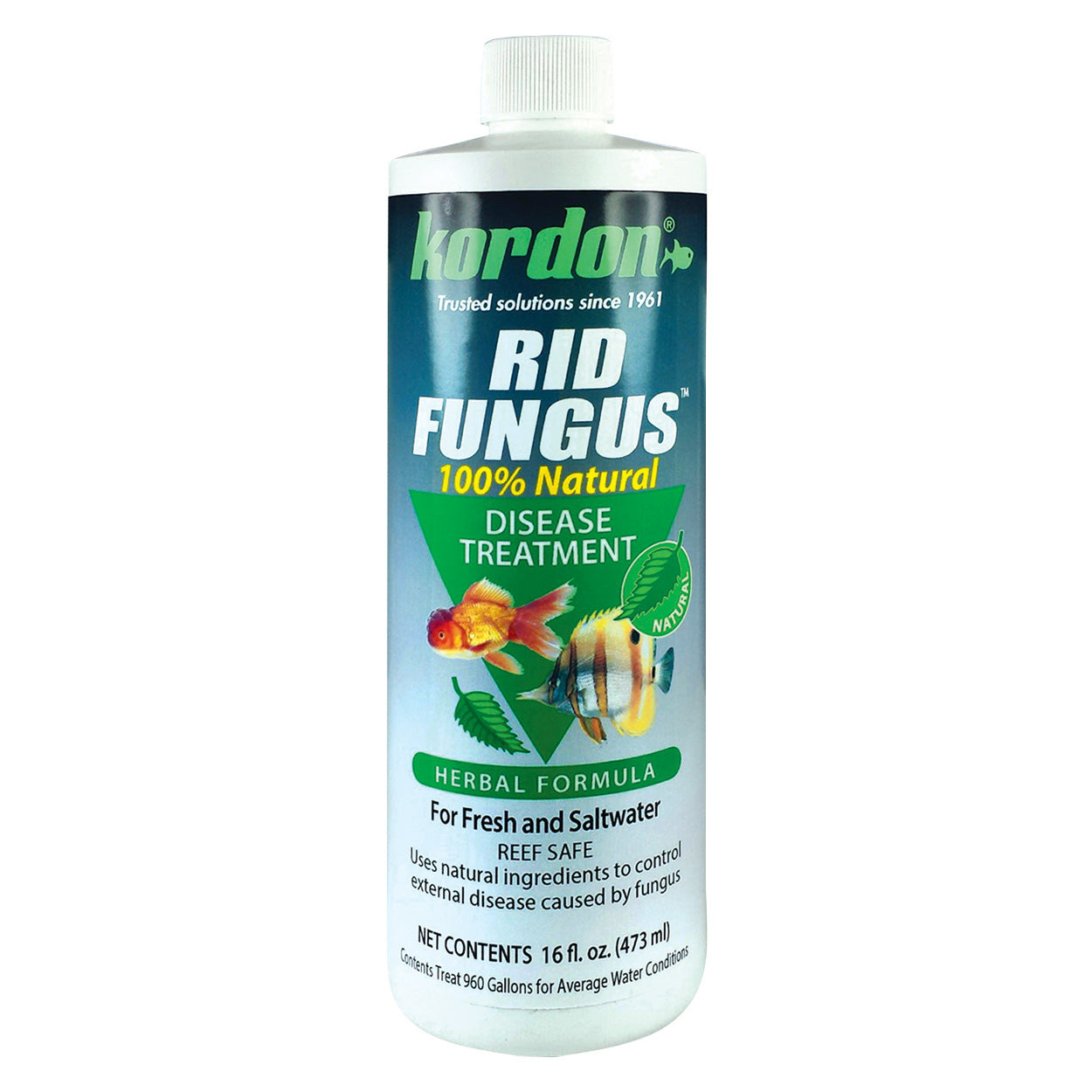 Kordon Rid Fungus 16 oz. – KensFish.com