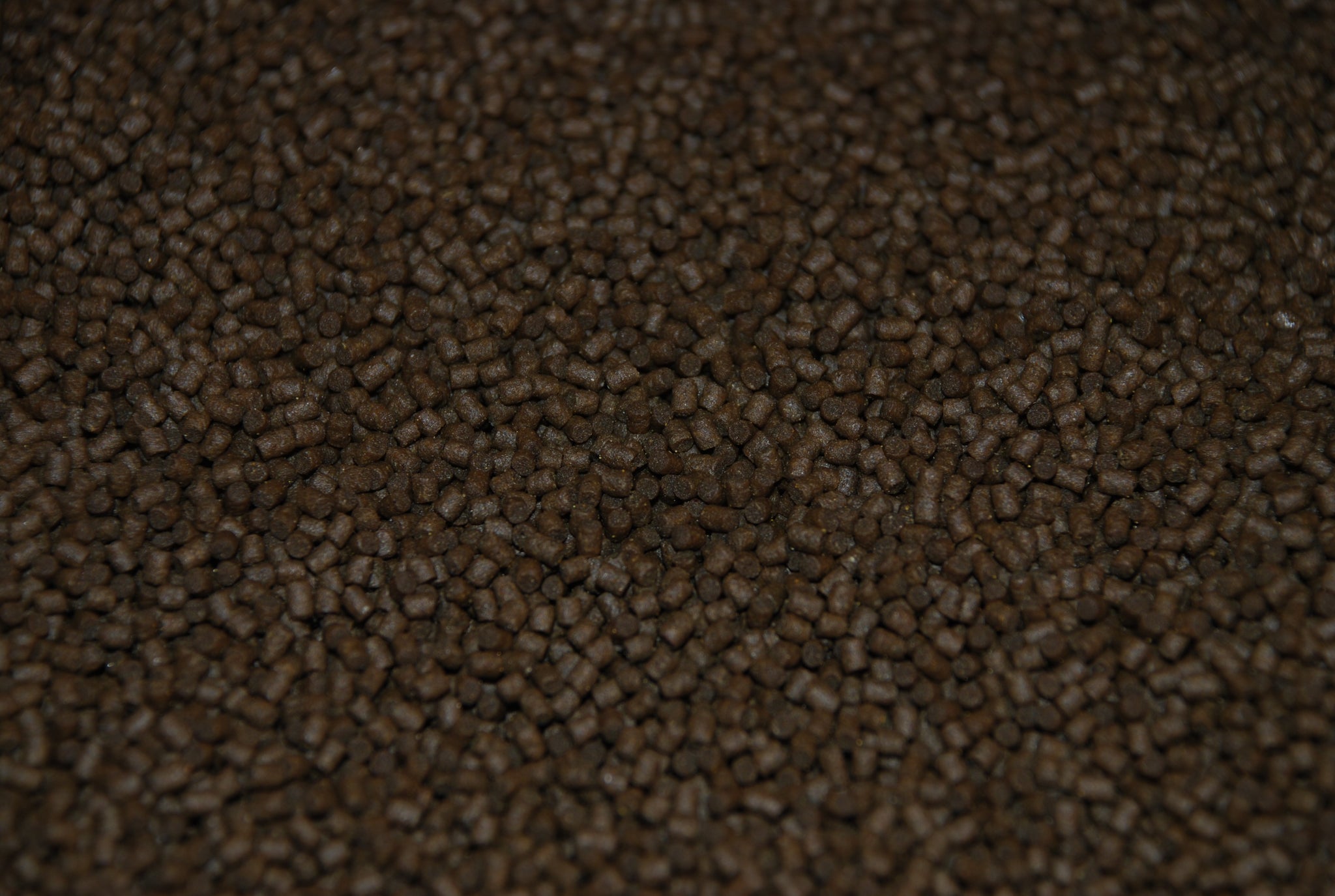 Ken's Premium Hi Intensity Color Enhancing Pellets 2 mm – KensFish.com