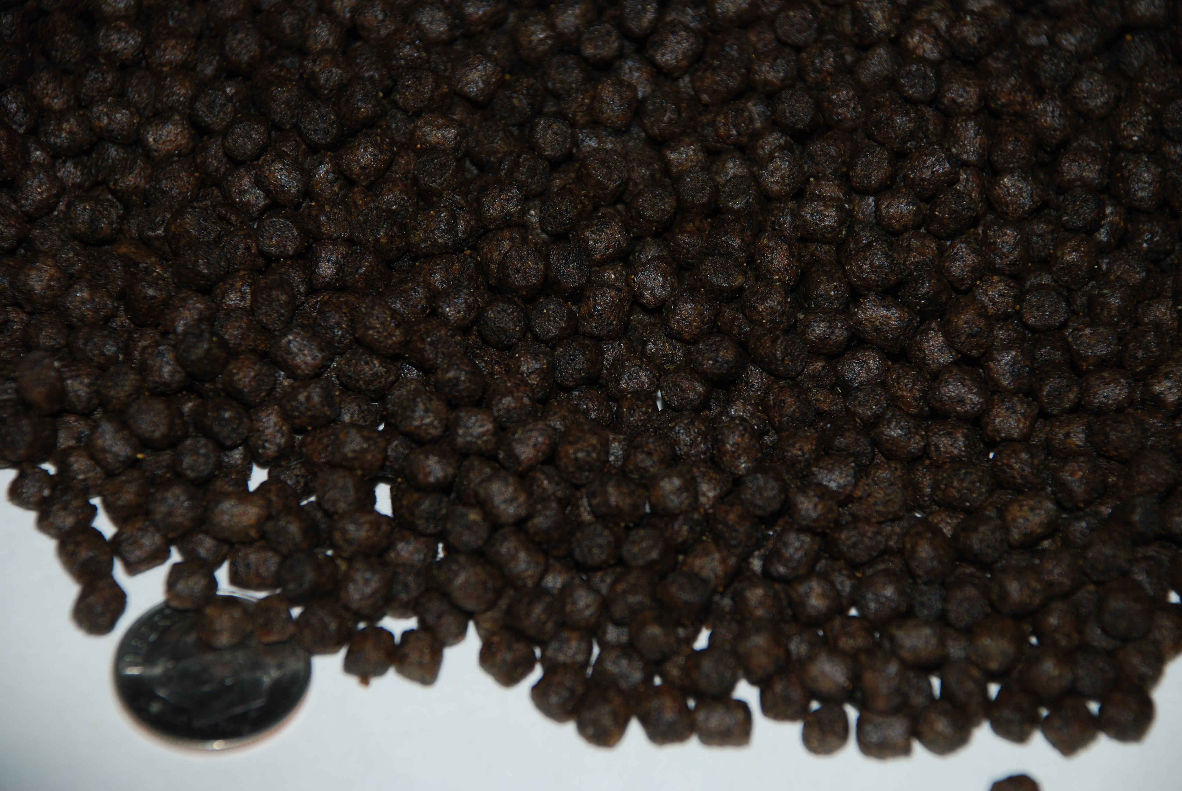 Ken's Premium Floating Cichlid Pellets 4.5 mm – KensFish.com