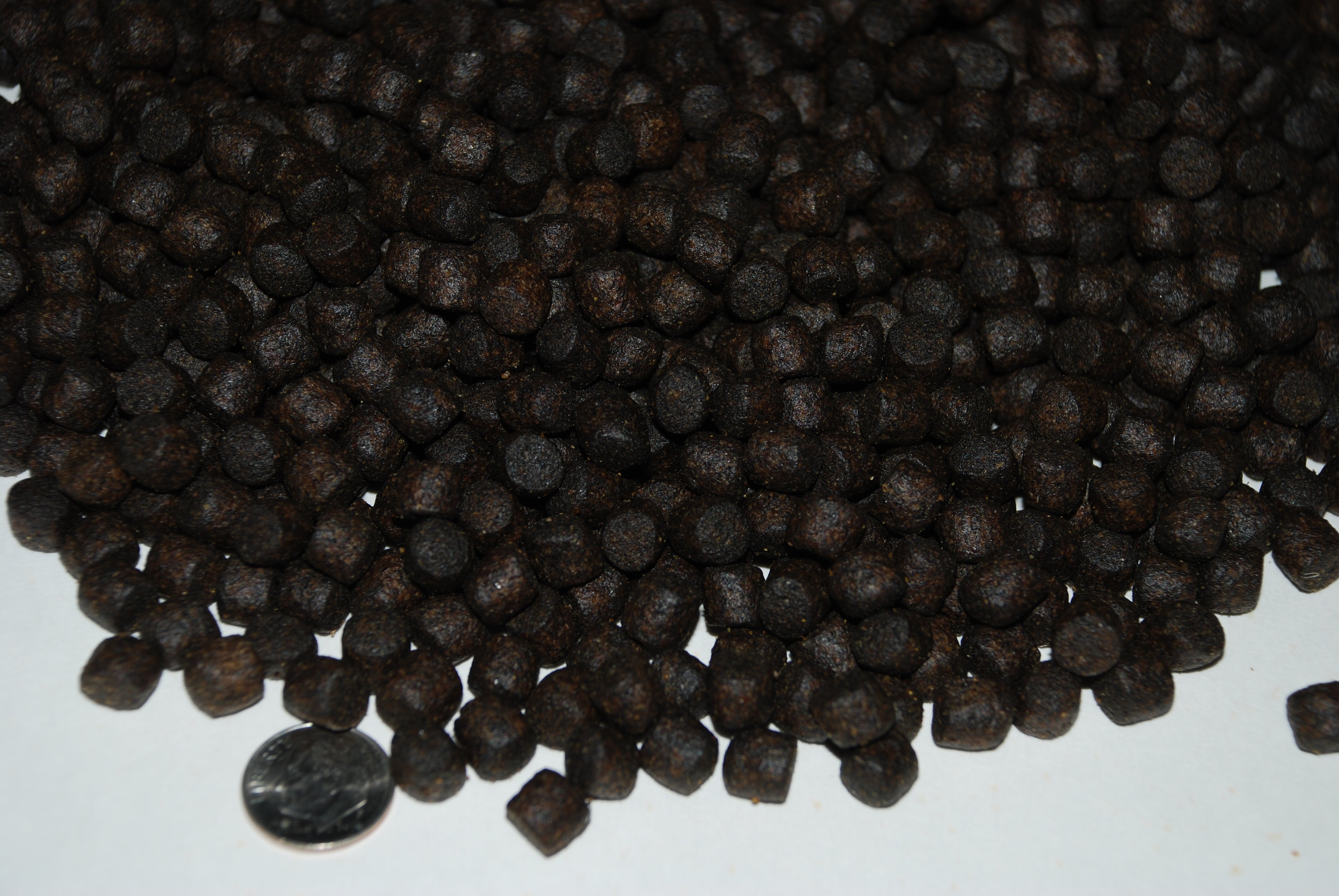 Ken's Premium Floating Cichlid Pellets 6.5 mm – KensFish.com
