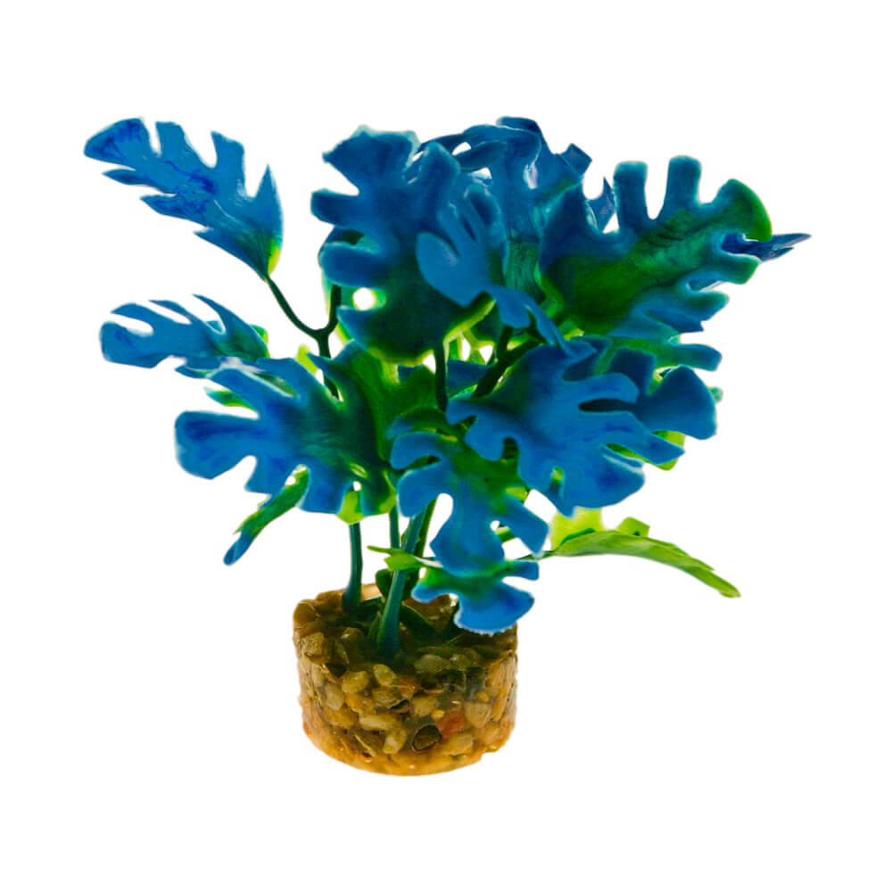 Blue Ribbon Colorburst Florals Philo Leaf Blue – KensFish.com
