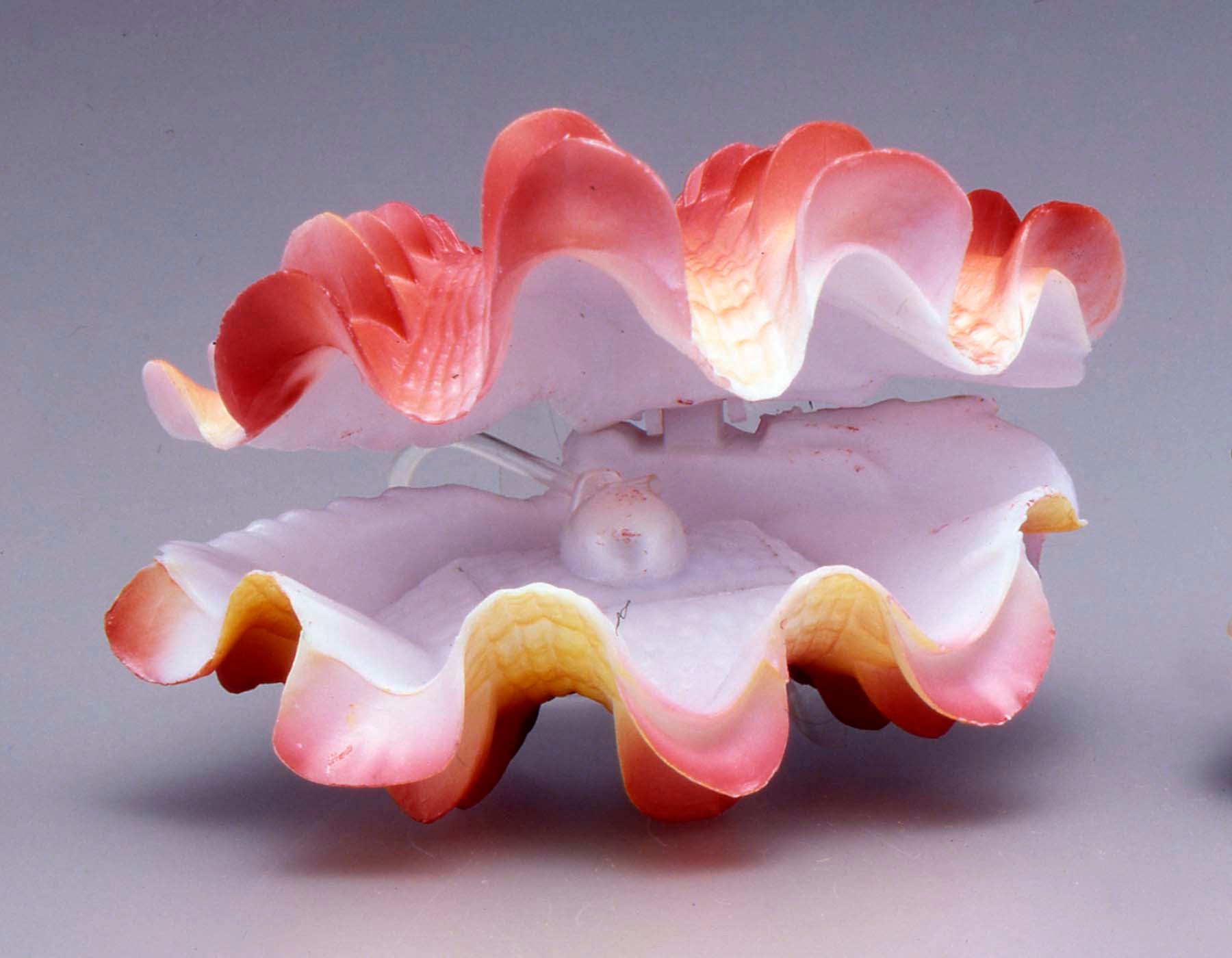 Penn Plax Air Action Giant Clam – KensFish.com