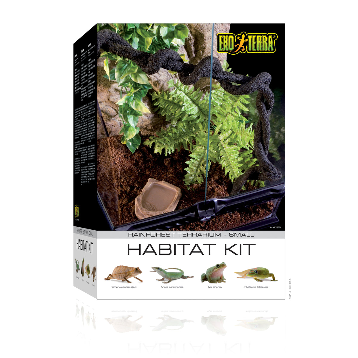 Exo Terra Rainforest Habitat Kit Small – KensFish.com