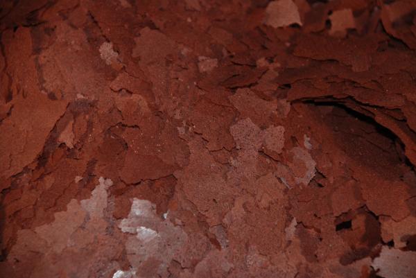 Ken's Premium Beefheart Flake – KensFish.com