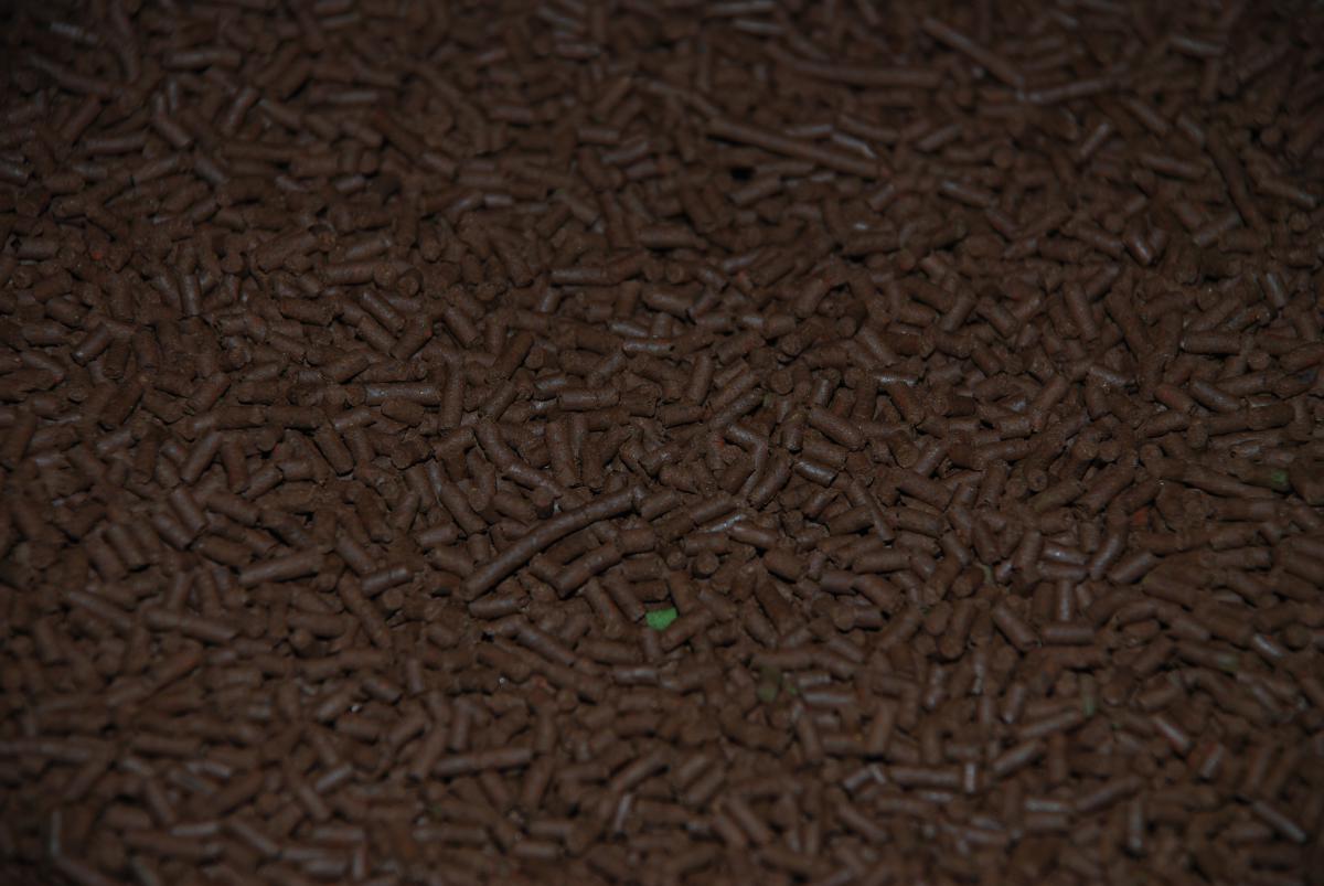 Ken's Premium Mini Blackworm Sticks – KensFish.com