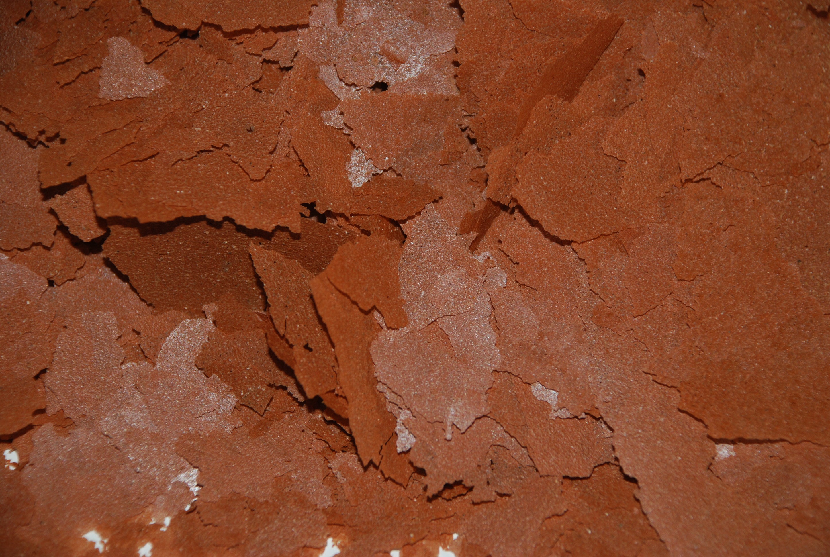 Ken's Premium Brine Shrimp Flake – KensFish.com