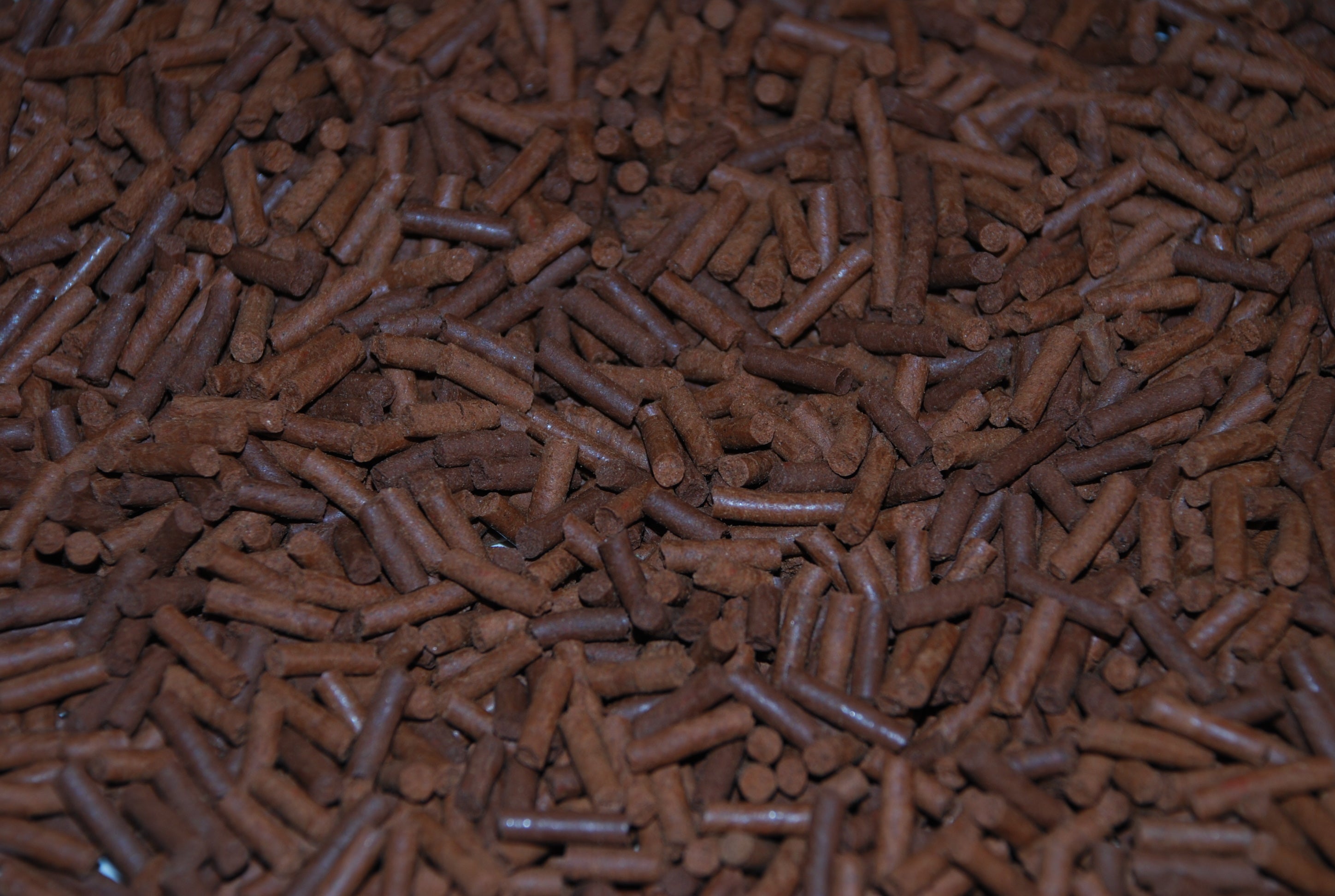 Ken's Premium Earthworm Sticks – KensFish.com