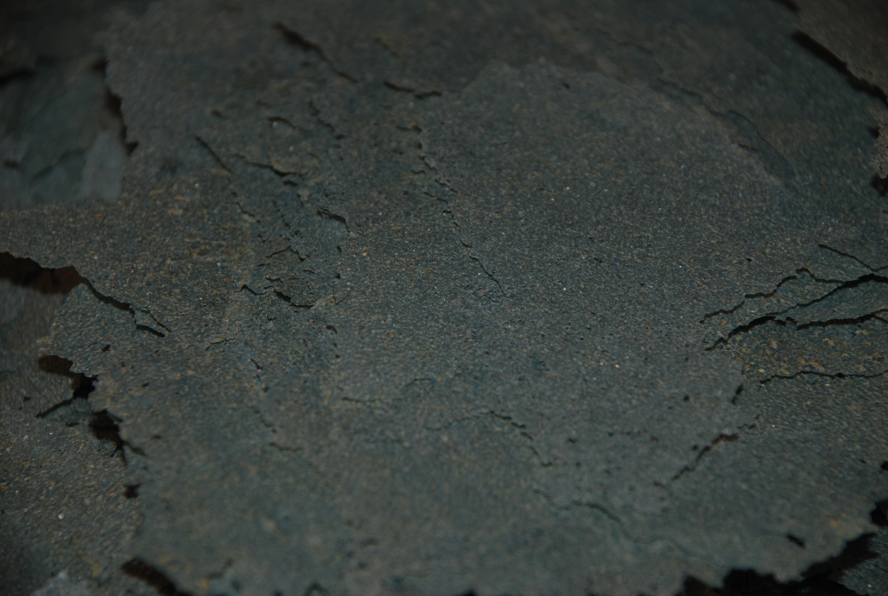 Ken's Premium Immune Booster Flake – KensFish.com