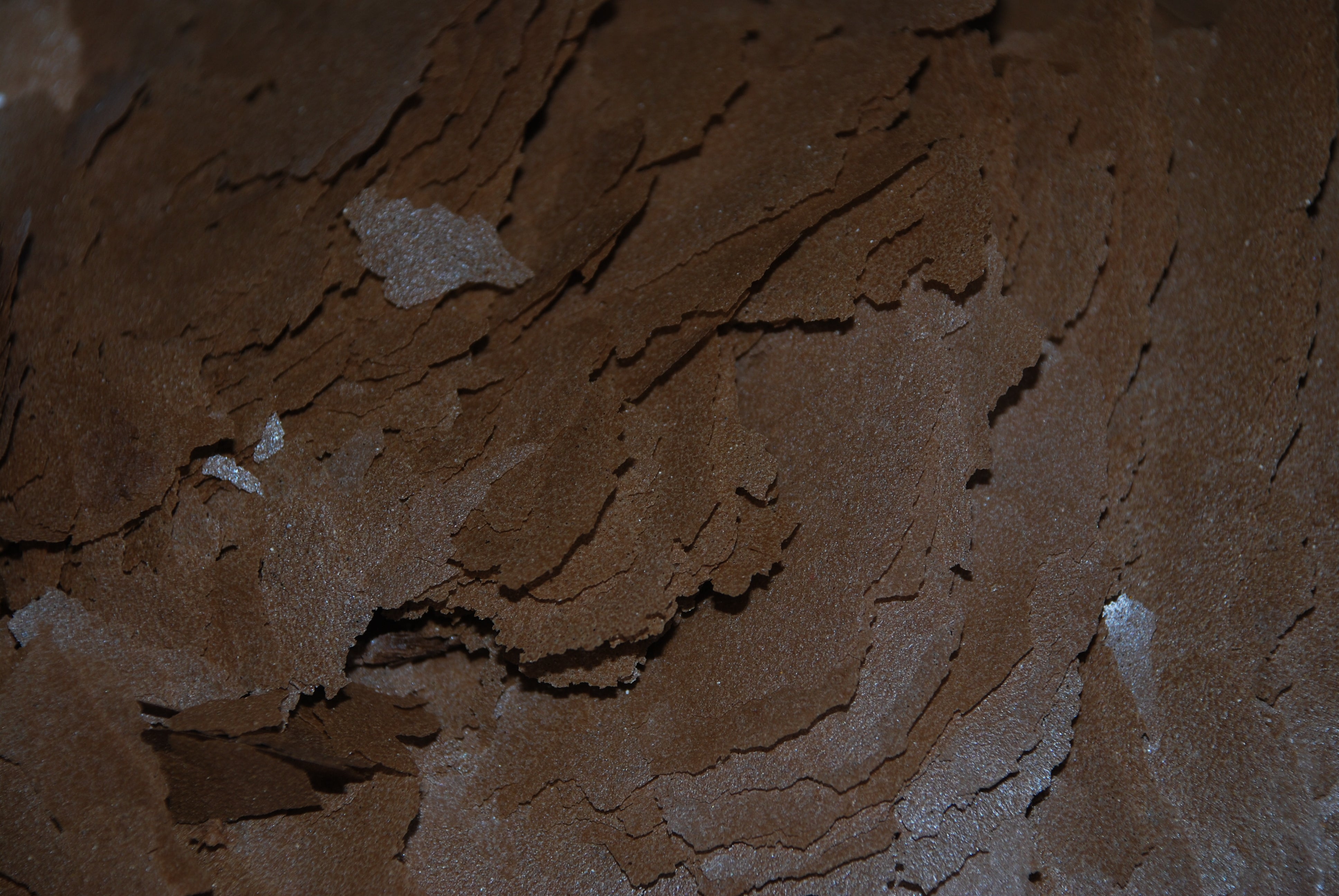 Ken's Premium Multi Worm Flake – KensFish.com