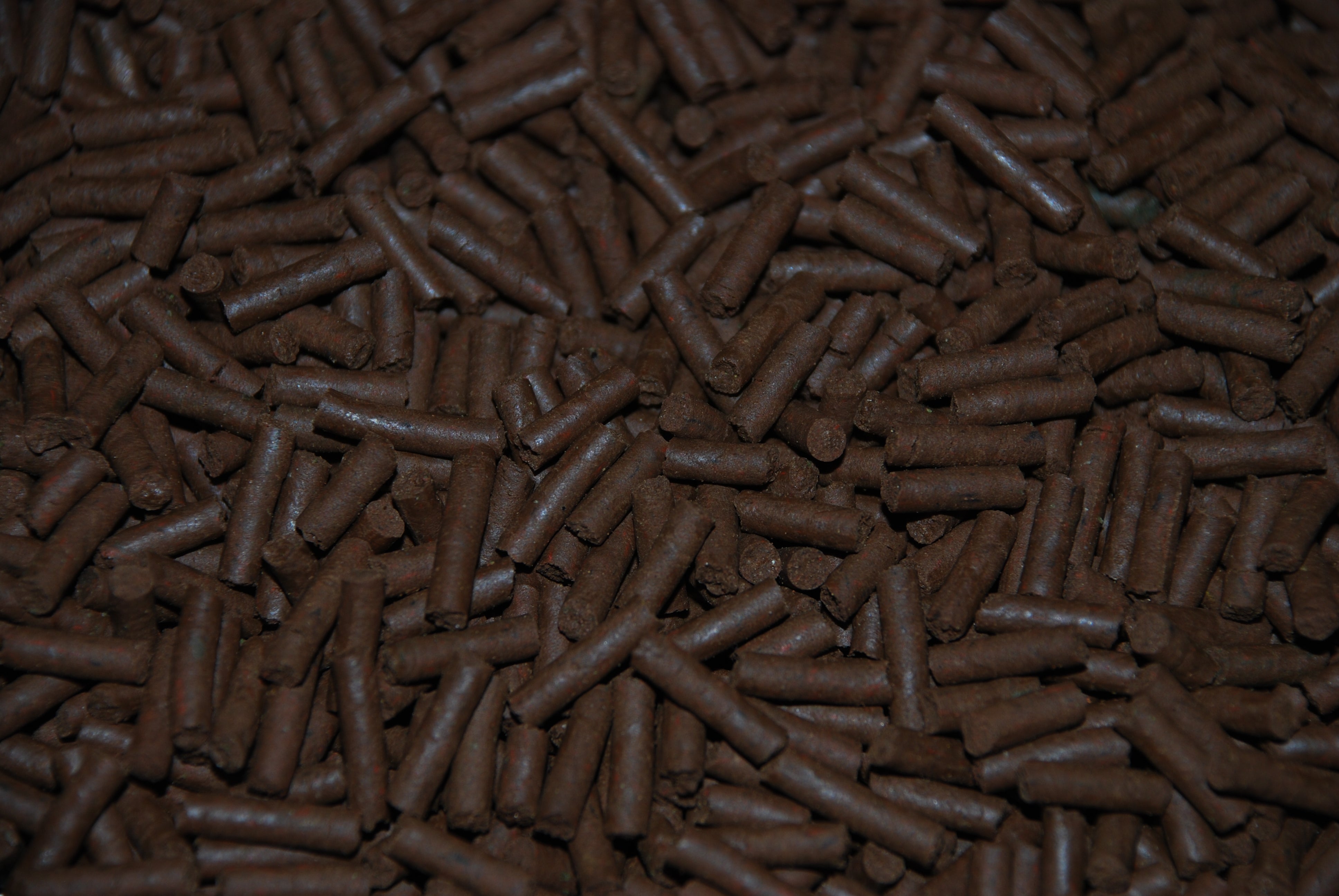 Ken's Premium Multi Worm Sticks – KensFish.com