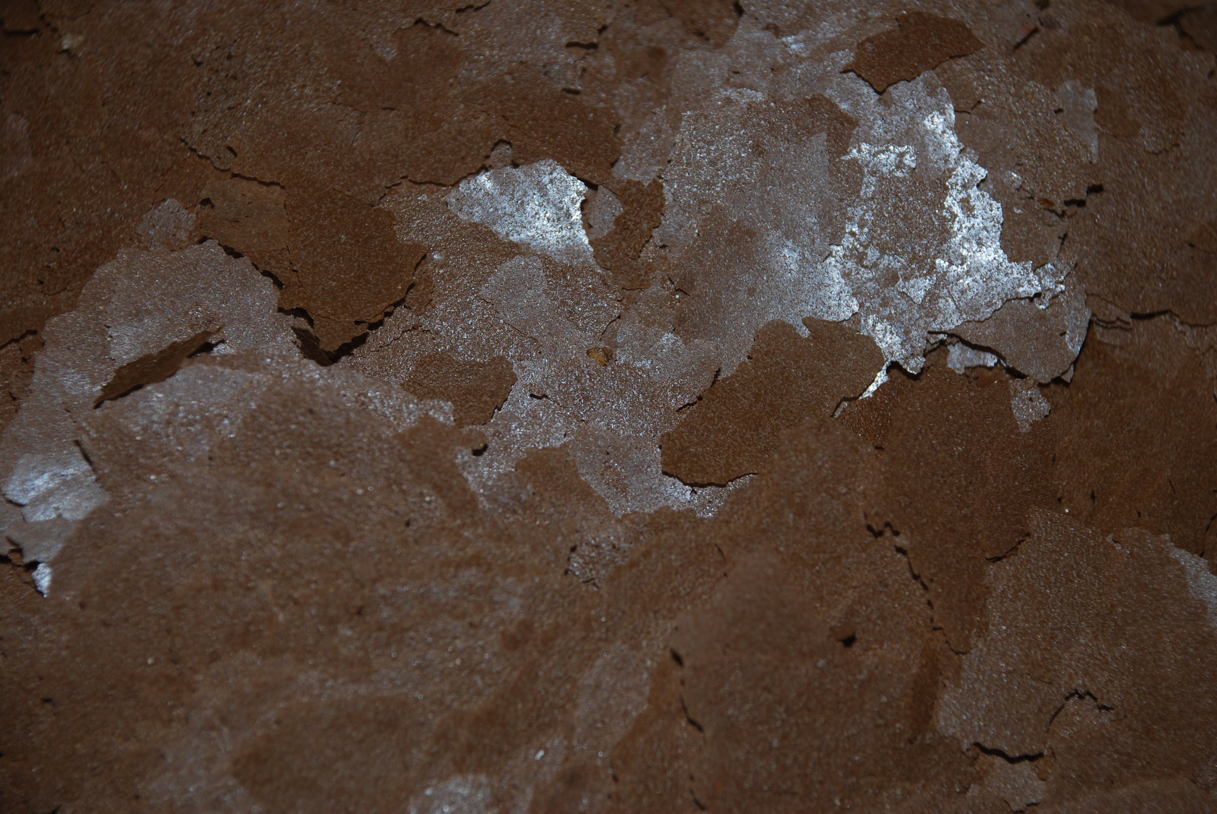 Ken's Premium Silkworm Flake – KensFish.com