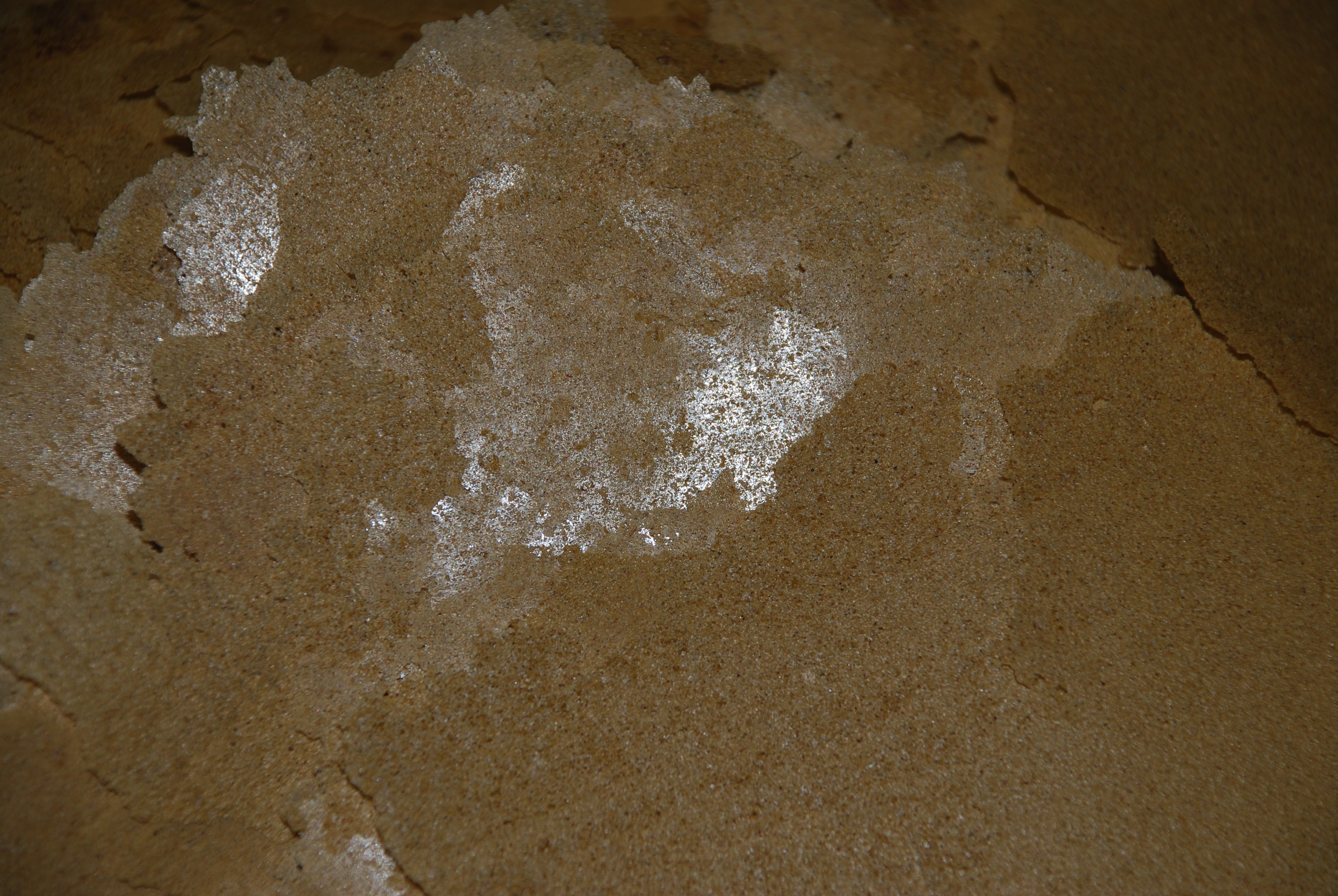 Ken's Premium Solder Fly Larvae Flake – KensFish.com