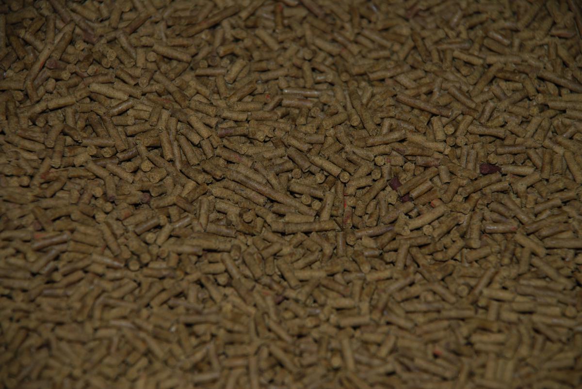Ken's Premium Mini Soldier Fly Larvae Sticks – KensFish.com