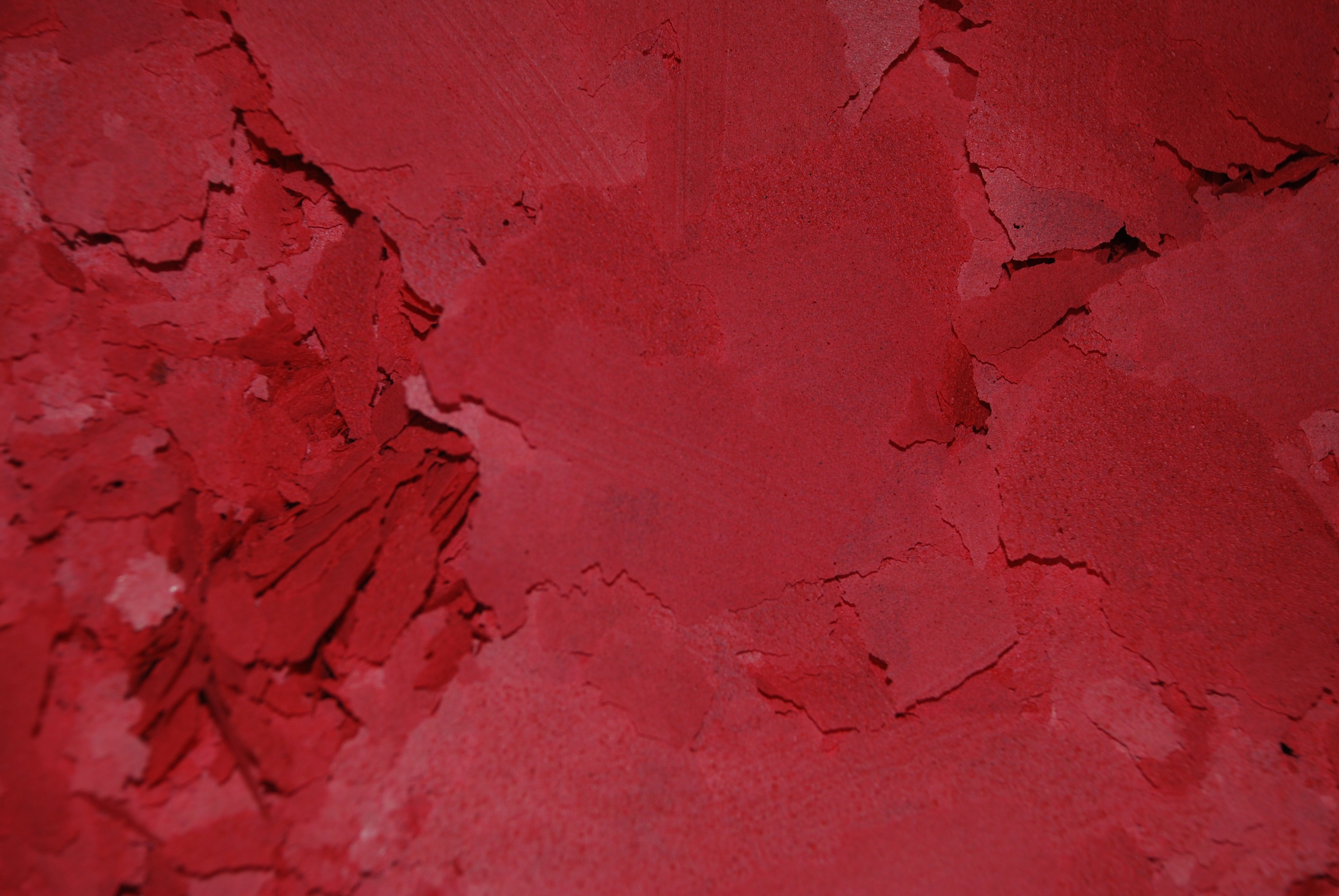 Ken's Premium Super Brine Shrimp Flake – KensFish.com