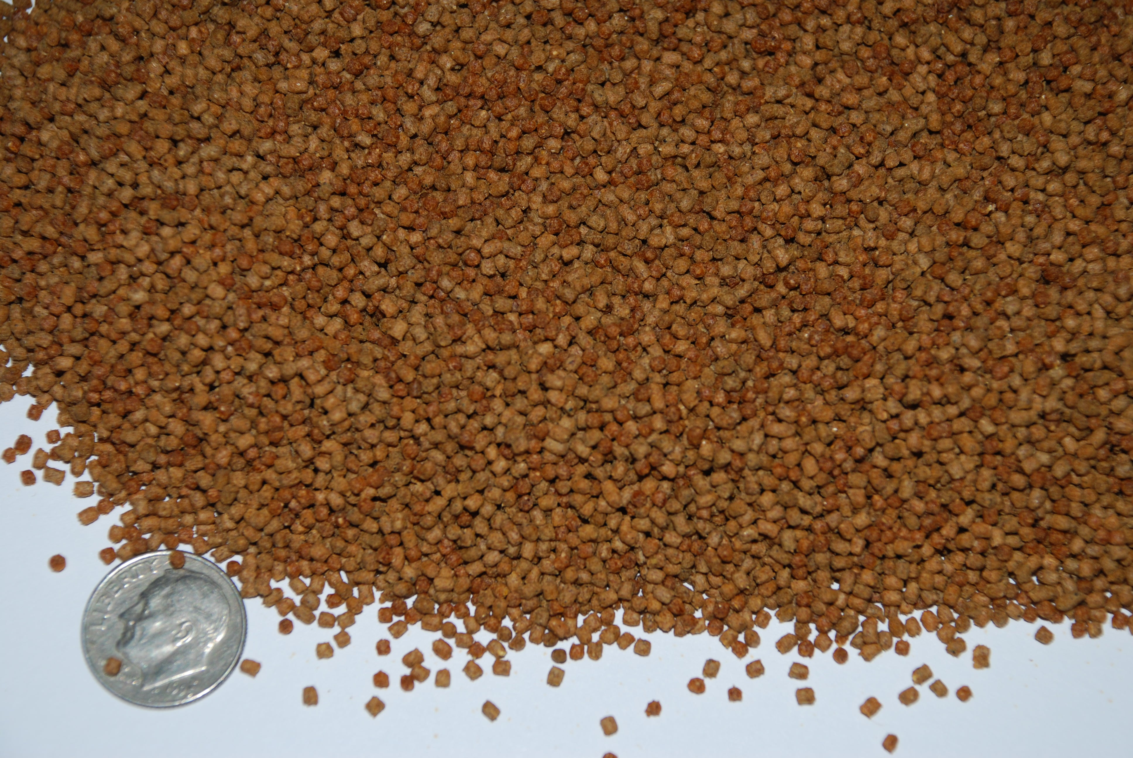 Ken's Premium Super Color Pellets 1.5 mm – KensFish.com