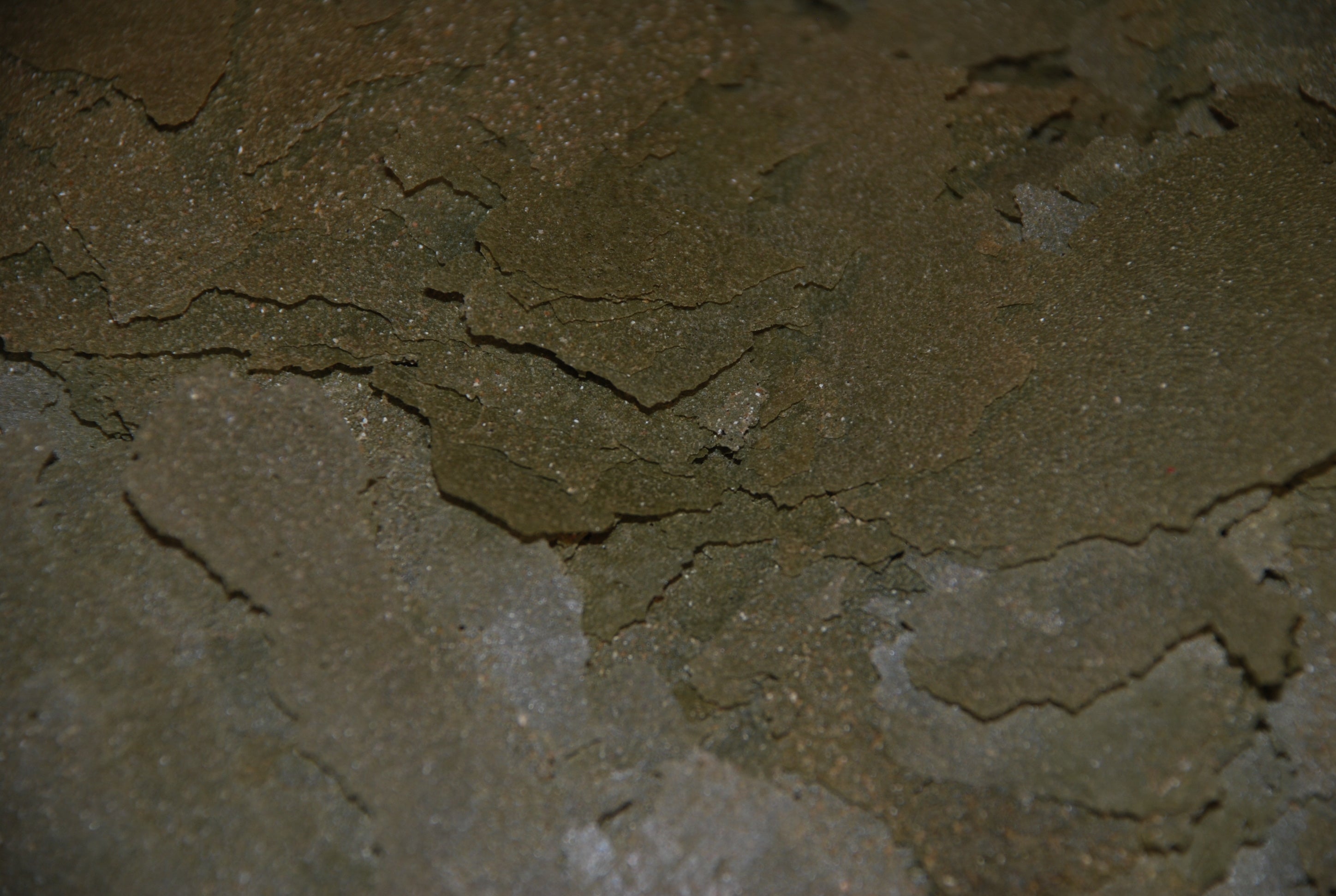 Ken's Premium Metronidazole & Garlic Flake – KensFish.com