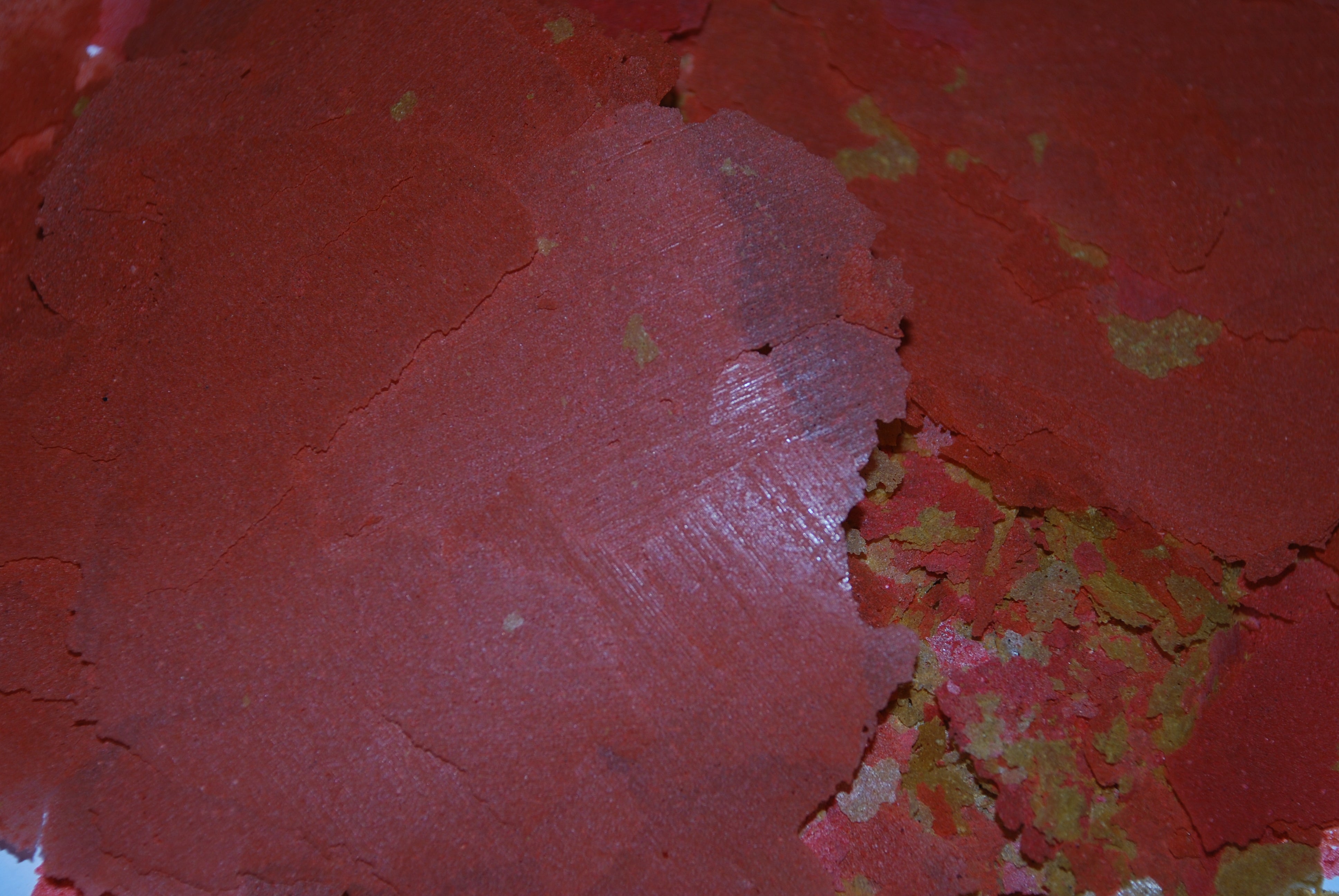 Ken's Ultra Marine Flake – KensFish.com