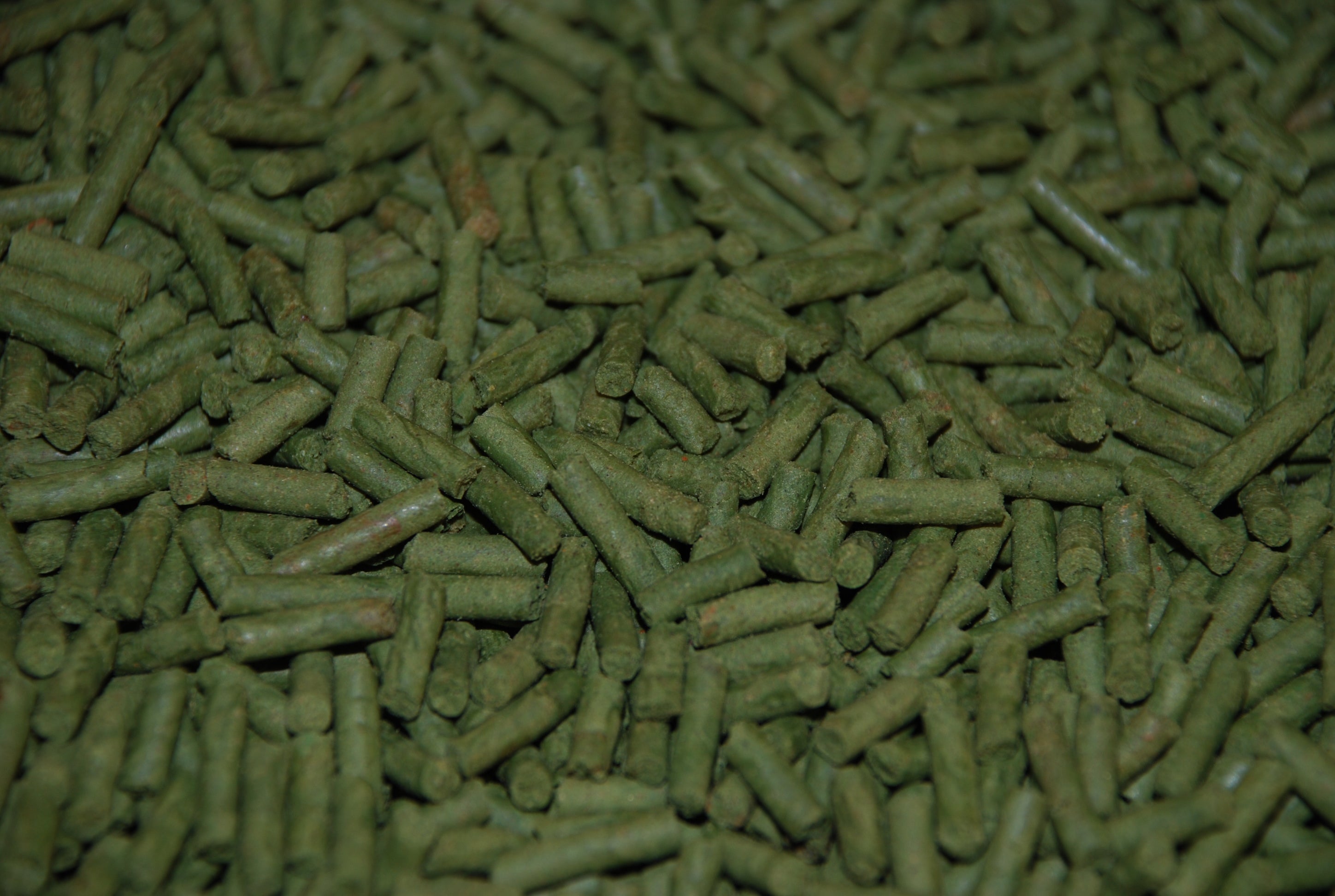 Ken's Premium Vegetable Sticks With Calcium – KensFish.com