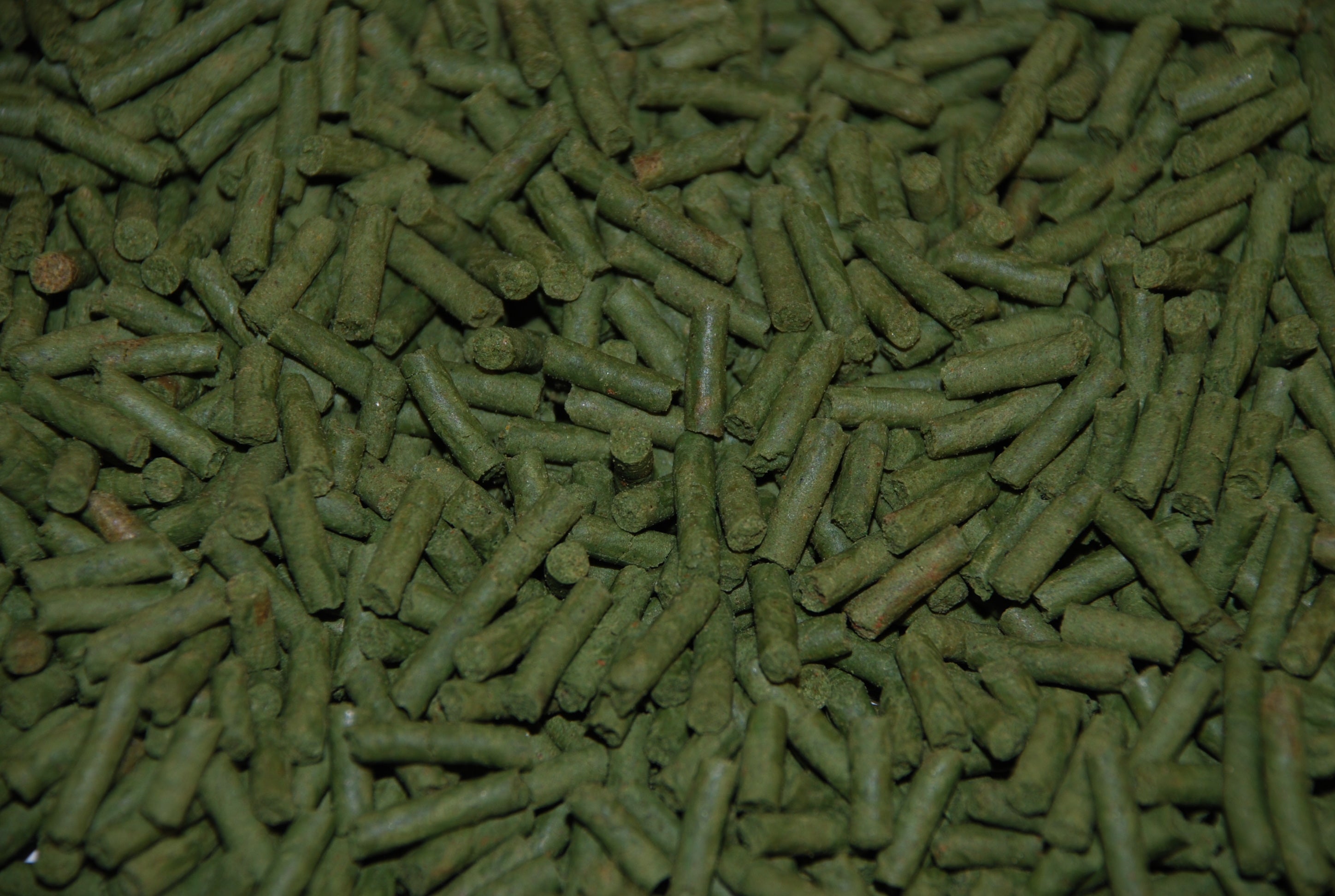 Ken's Premium Vegetable Sticks – KensFish.com